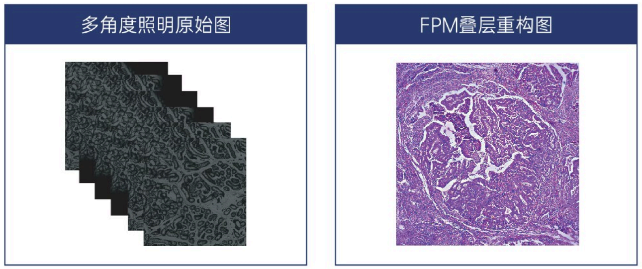 曦光仪器:高通量显微成像仪器引领者